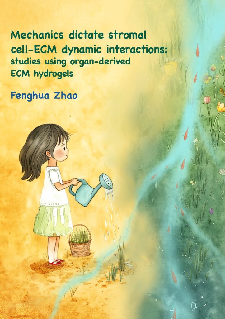 Fenghua Zhao – ProefschriftMaken